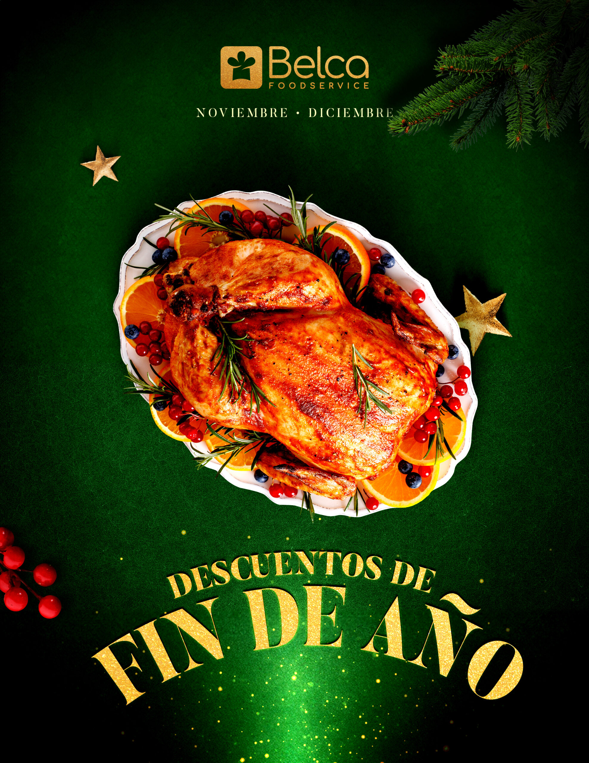 Otras revistas - Belca Costa Rica